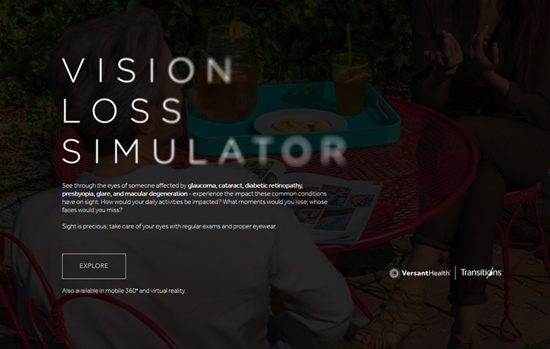 Vision Simulator
