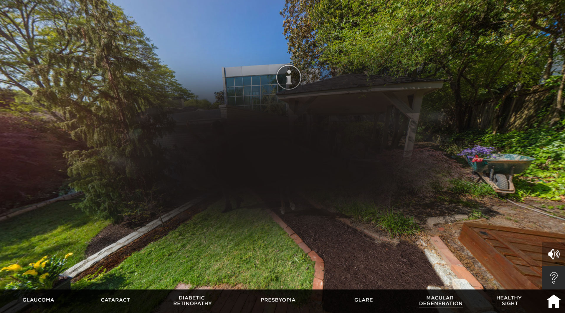 Understanding AMD Symptoms, Causes and Treatments - Versant Health